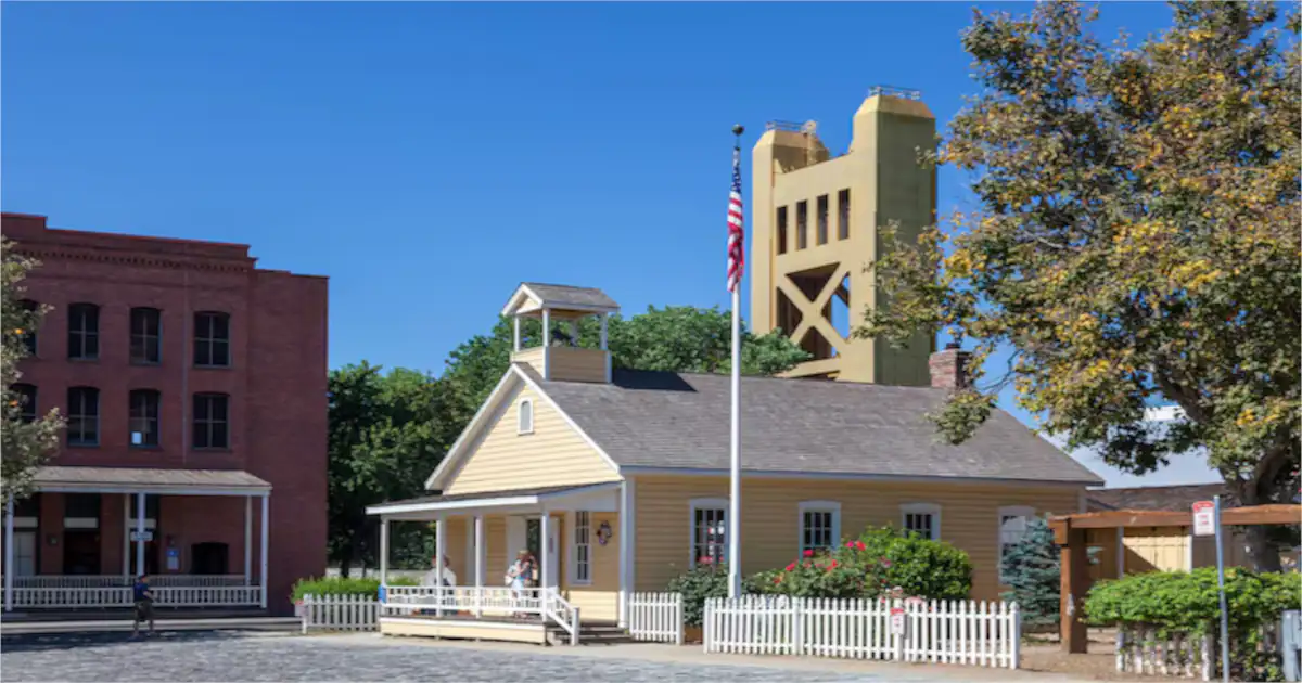 Pavo Ga: 7 Amazing Benefits You Didn't Know About