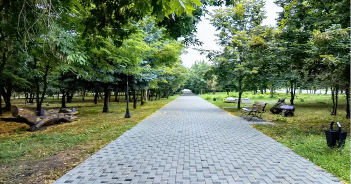 Rollins Ford Park: 7 Amazing Outdoor Adventures Await!